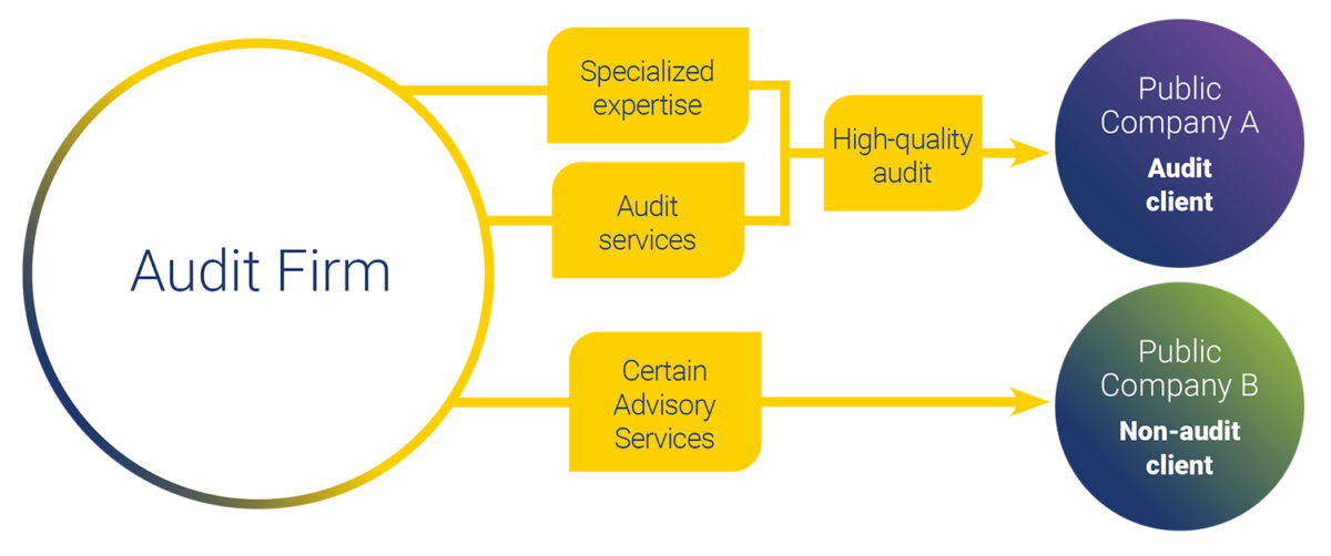 Introduction to Audit | The Center for Audit Quality