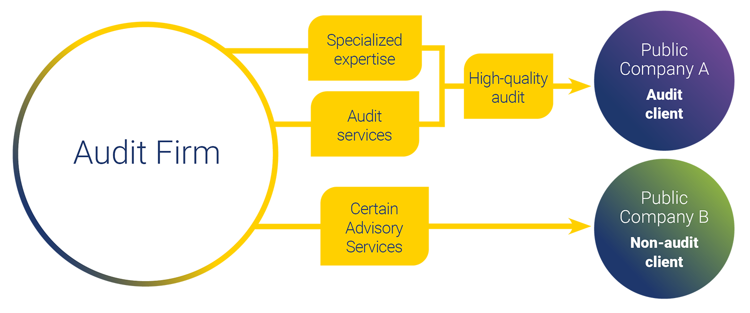 Introduction to Audit | The Center for Audit Quality