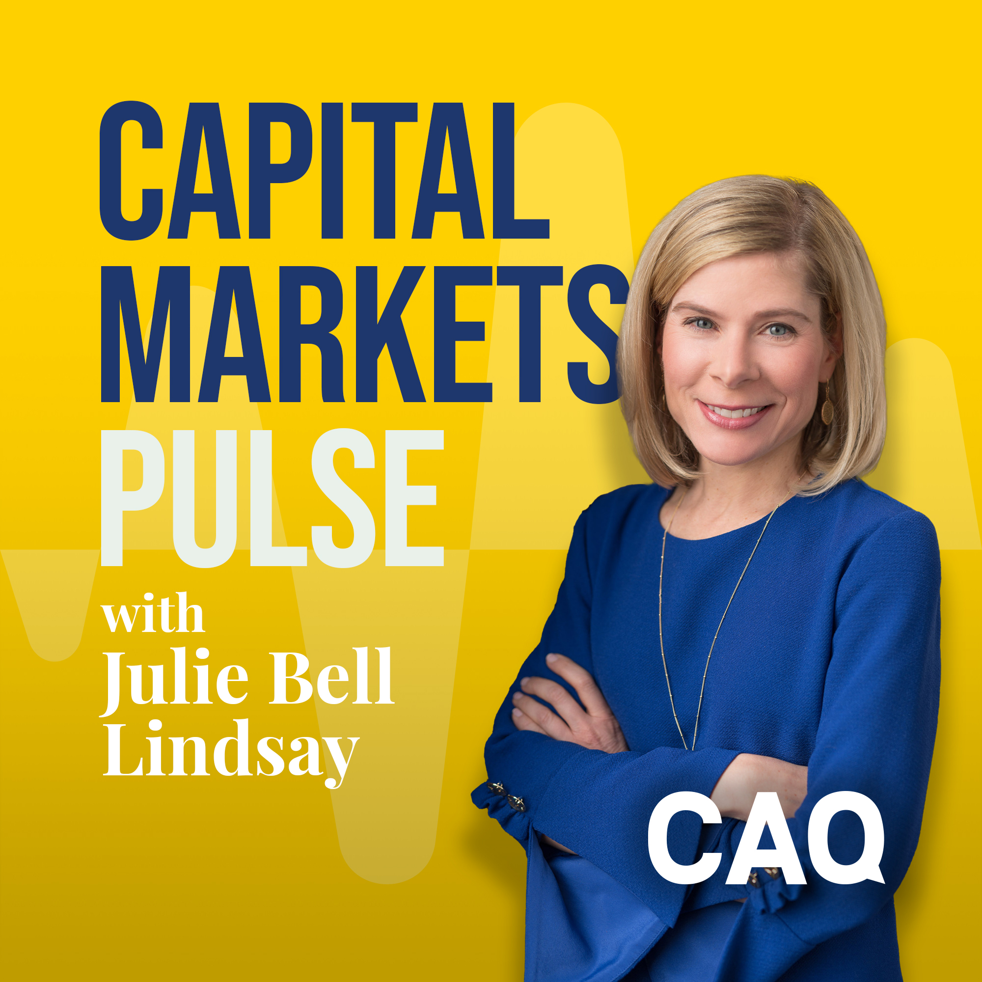 Capital Markets Pulse | December 2024 | The CAQ